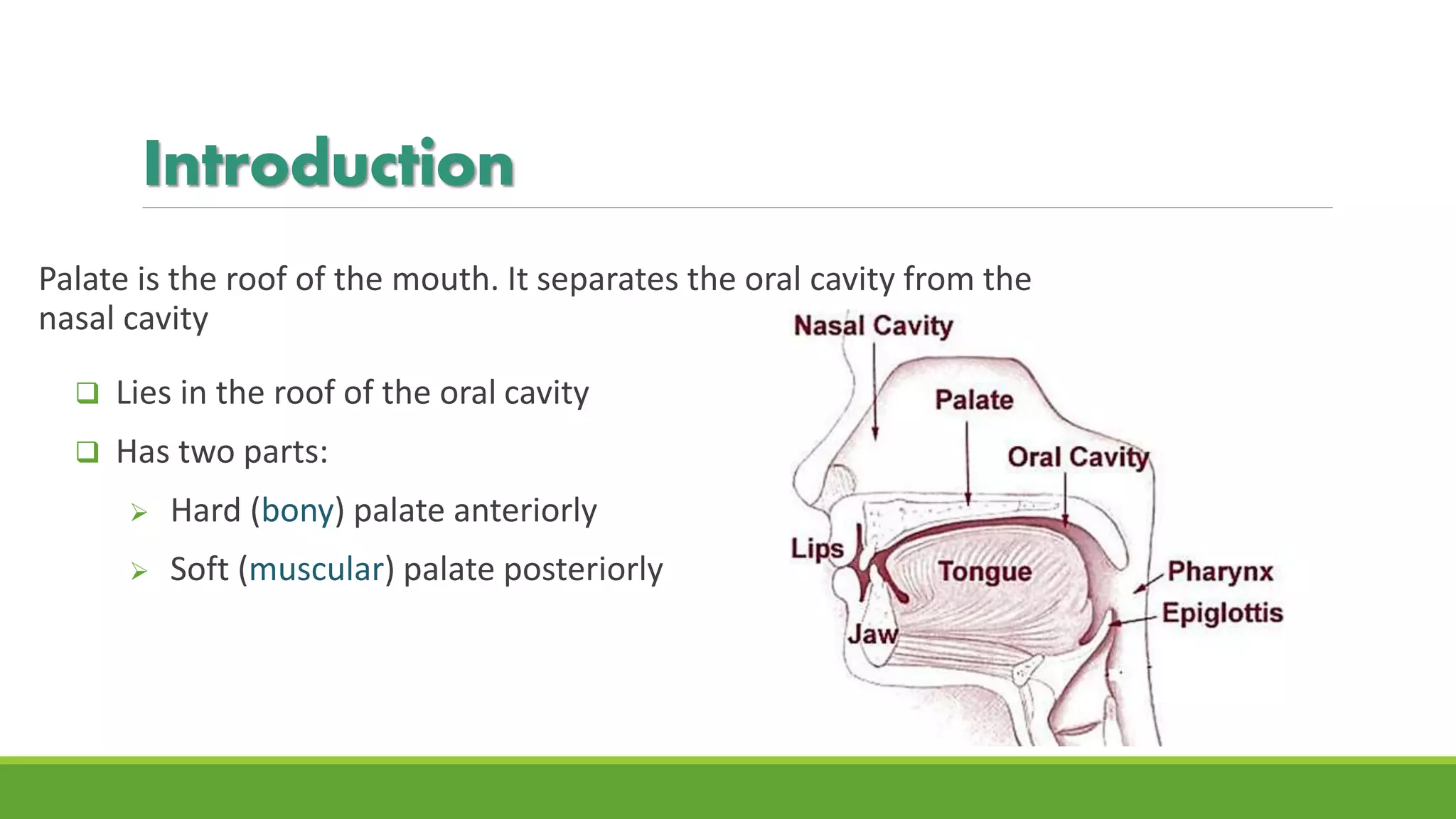 palate anatomy | PPTX