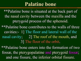 Palatine Fissures