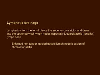 Palatine tonsil | PPT