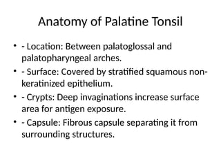 Palatine_Tonsil_Vishram_Singh_MBBS-1.pptx