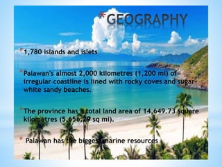 Palawan | PPTX