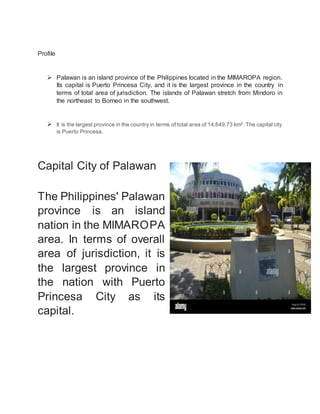 PALAWAN.docx | South America Travel | Travel Locations