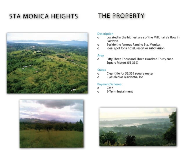 Palawan Beaches Brochure | PPT