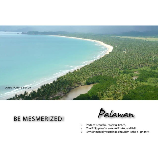 Palawan Beaches Brochure | PPT