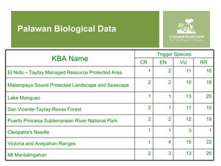 Palawan Biodiversity Status & MMPL Valuation Initial Results 22 April ...