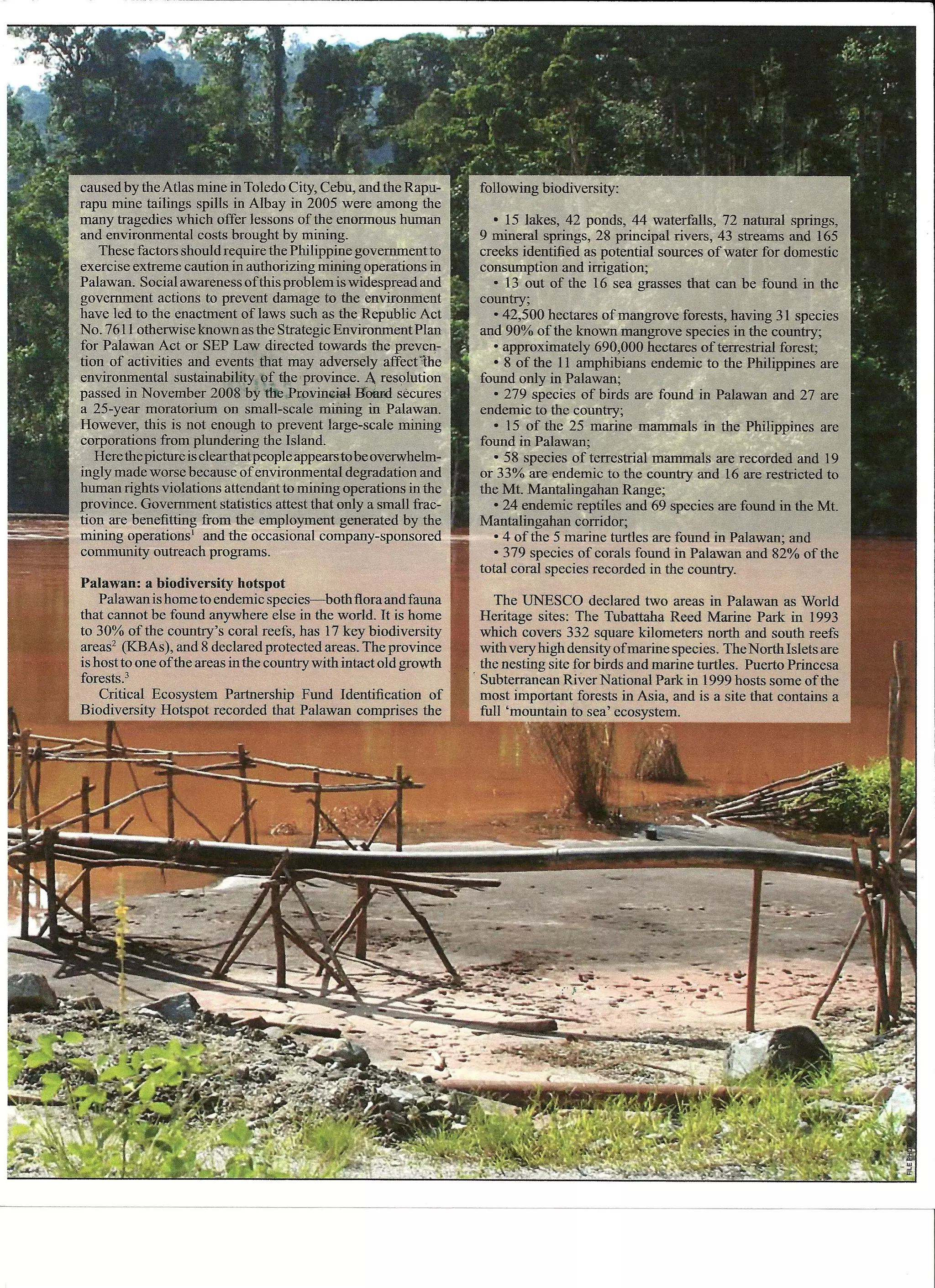 Palawan case study in Impact Magazine July 2011 | PDF