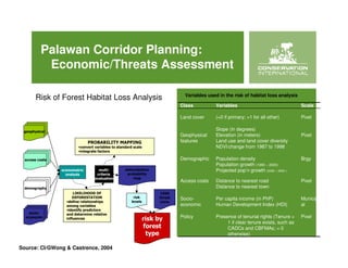 Palawan Corridor Conservation Strategy and Current Initiatives | PDF