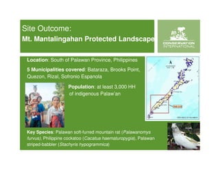 Palawan Corridor Conservation Strategy and Current Initiatives | PDF