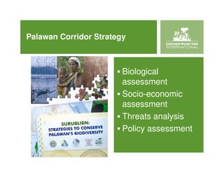 Palawan Corridor Conservation Strategy and Current Initiatives | PDF