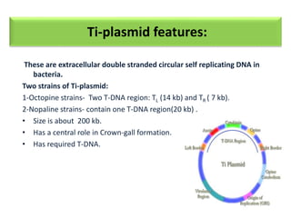 Genetic engineering and Transformation methods | PPTX