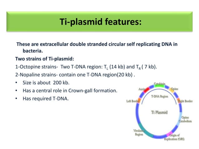 Genetic engineering and Transformation methods | PPTX