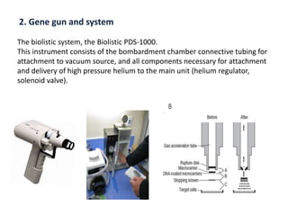 Genetic engineering and Transformation methods | PPTX