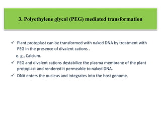 Genetic engineering and Transformation methods | PPTX