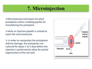 Genetic engineering and Transformation methods | PPTX