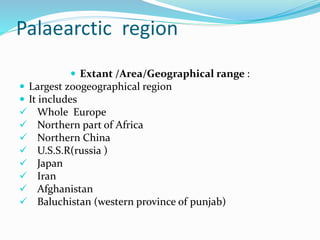 Palearctic region by Tassanam Naz | PPTX