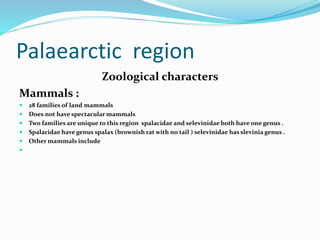 Palearctic region by Tassanam Naz | PPTX