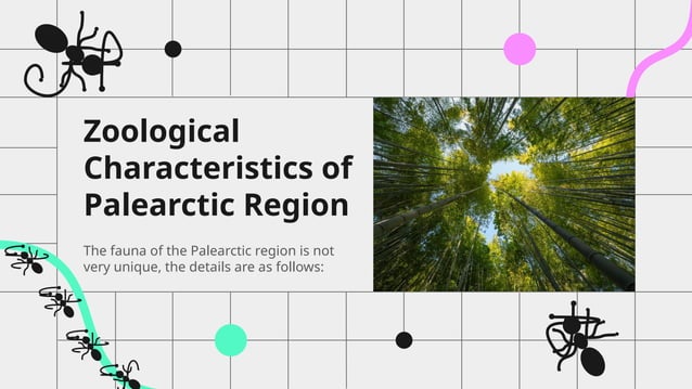 Palearctic Region and its Zoological Characteristics.pptx