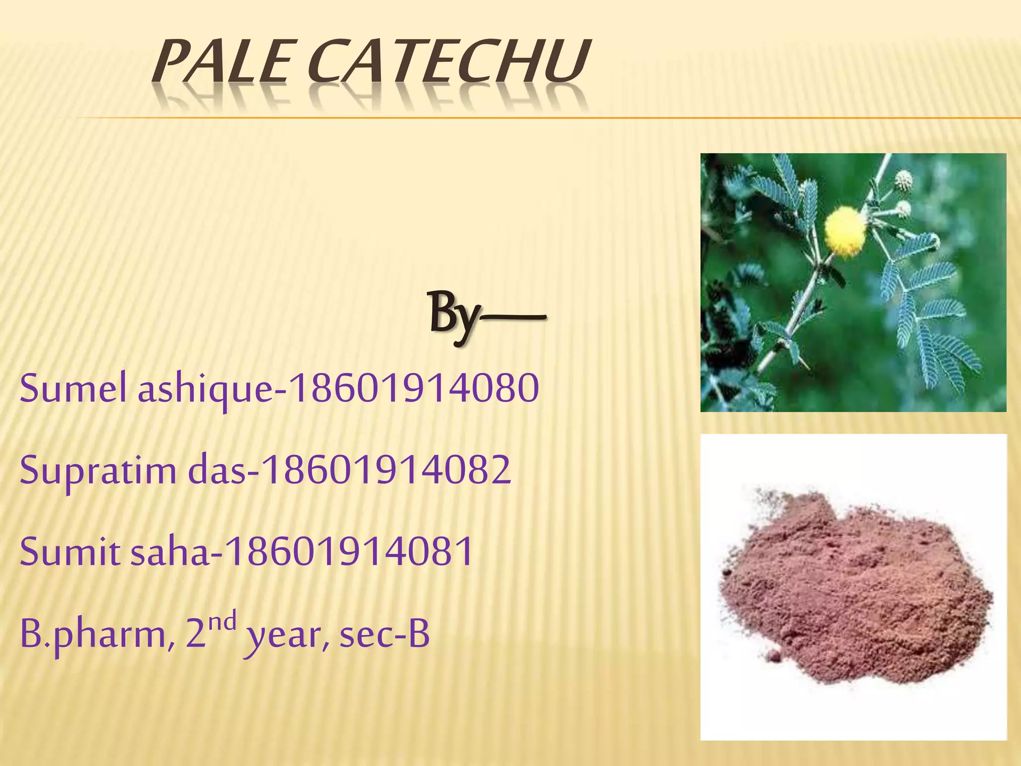 Pale catechu.. | PPTX