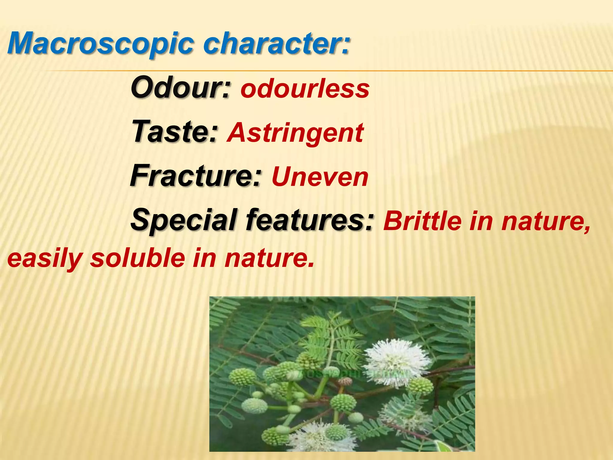 Pale catechu.. | PPTX