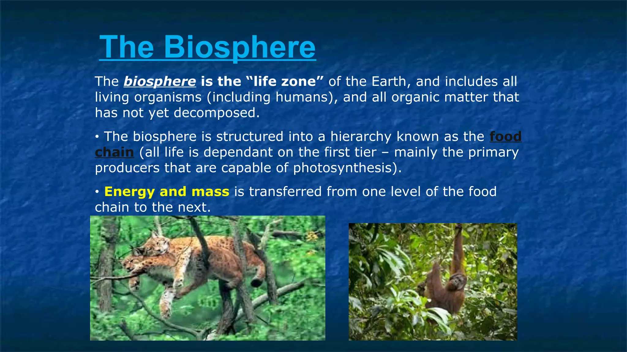 Shells of Earth | PPT