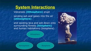 Shells of Earth | PPT
