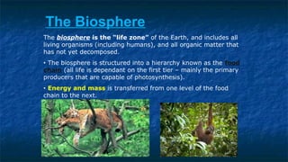 Shells of Earth | PPT