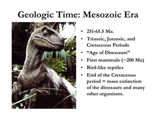 Paleoanthropology and Dating methods in Geology | PPT