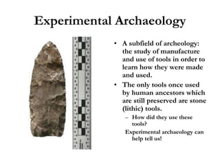 Paleoanthropology and Dating methods in Geology | PPT