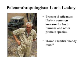 Paleoanthropology and Dating methods in Geology | PPT