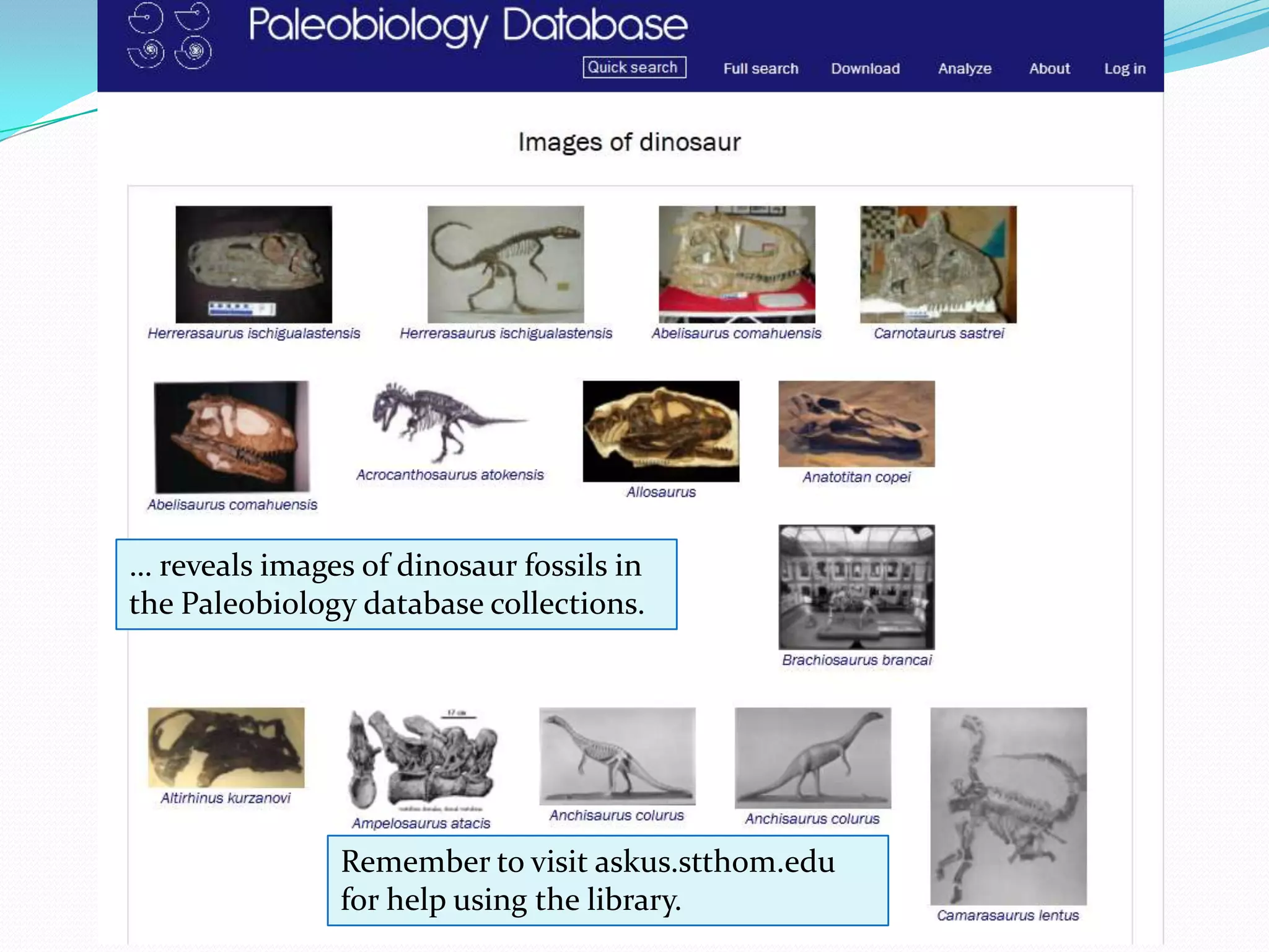 Paleobiology Database | PPT