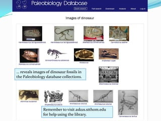 Paleobiology Database | PPTX