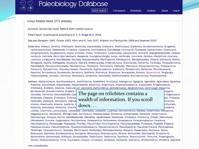 Paleobiology Database | PPT