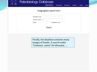 Paleobiology Database | PPTX