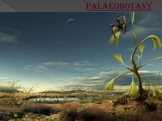 Paleobotany | PPTX
