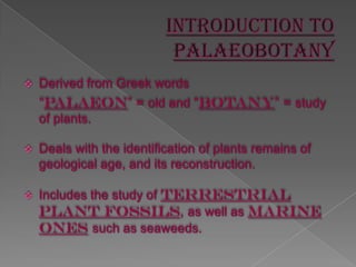 Paleobotany | PPTX