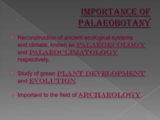 Paleobotany | PPTX