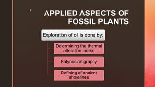 Paleobotany | PPTX