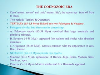 Fossils in Paleobotany Study | PDF