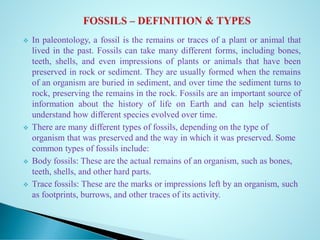 Fossils in Paleobotany Study | PDF
