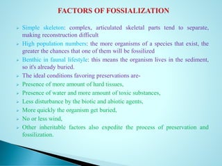 Fossils in Paleobotany Study | PDF