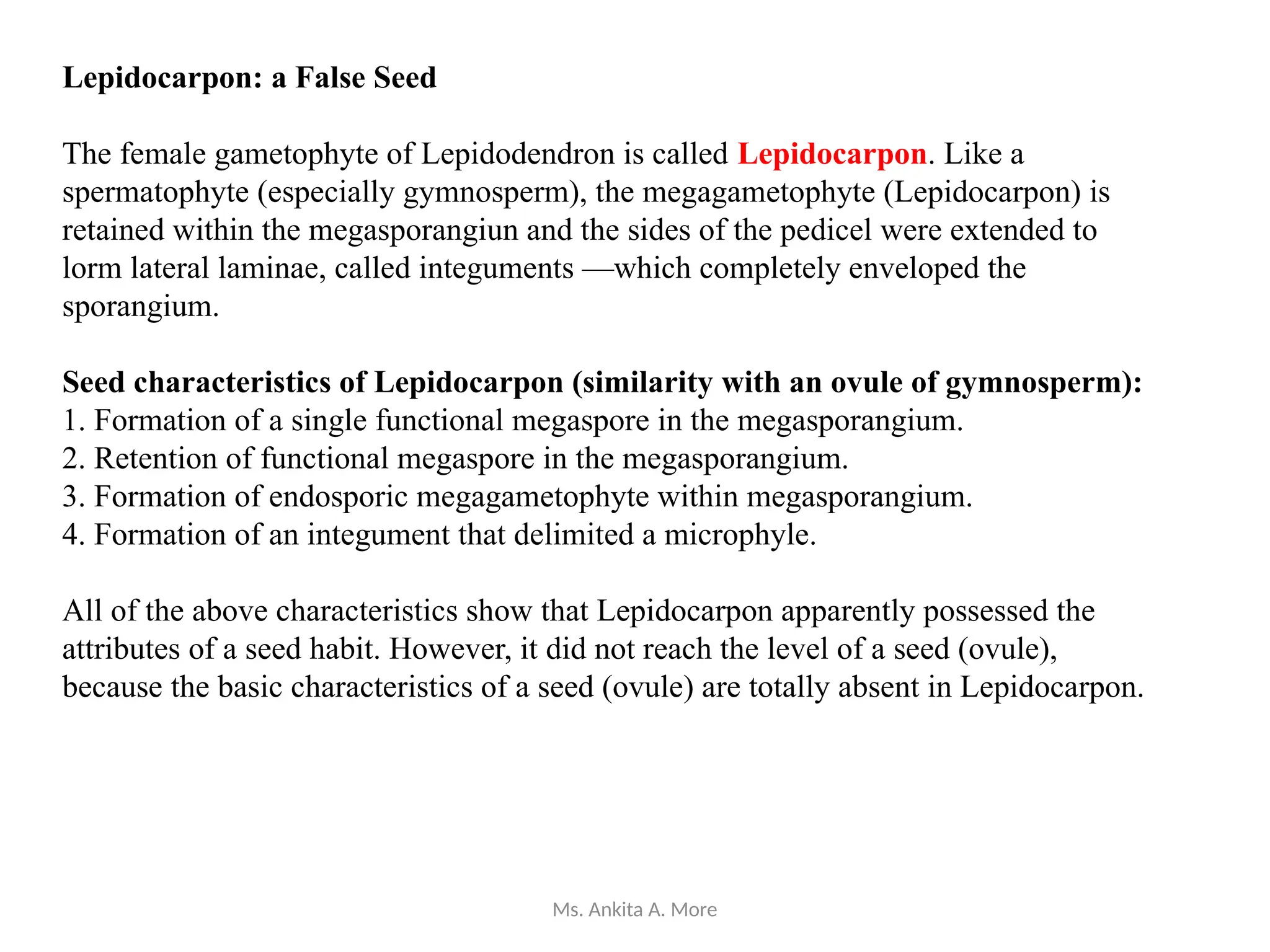 Paleobotany Calamites,Lyginopteris, Pentoxylon, Lepidodendron.pptx