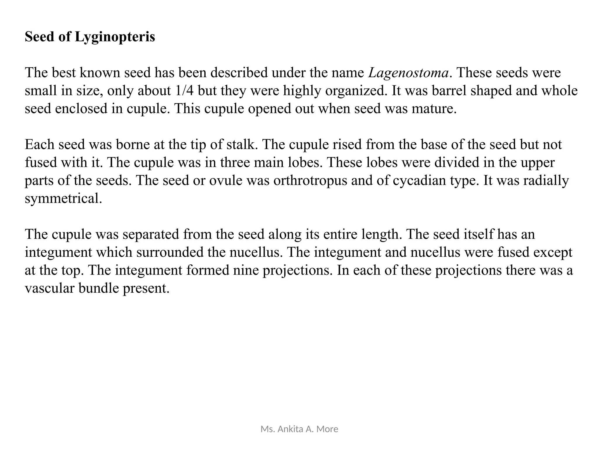 Paleobotany Calamites,Lyginopteris, Pentoxylon, Lepidodendron.pptx