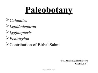 Paleobotany Calamites,Lyginopteris, Pentoxylon, Lepidodendron.pptx