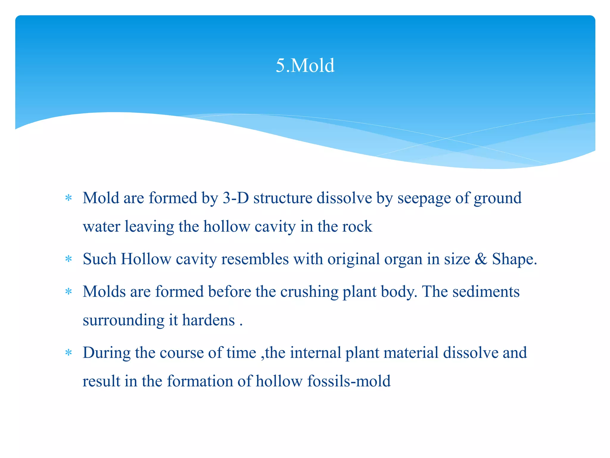 Paleobotany for B.Sc III(Botany-Semester III) As per the syllabus of S ...
