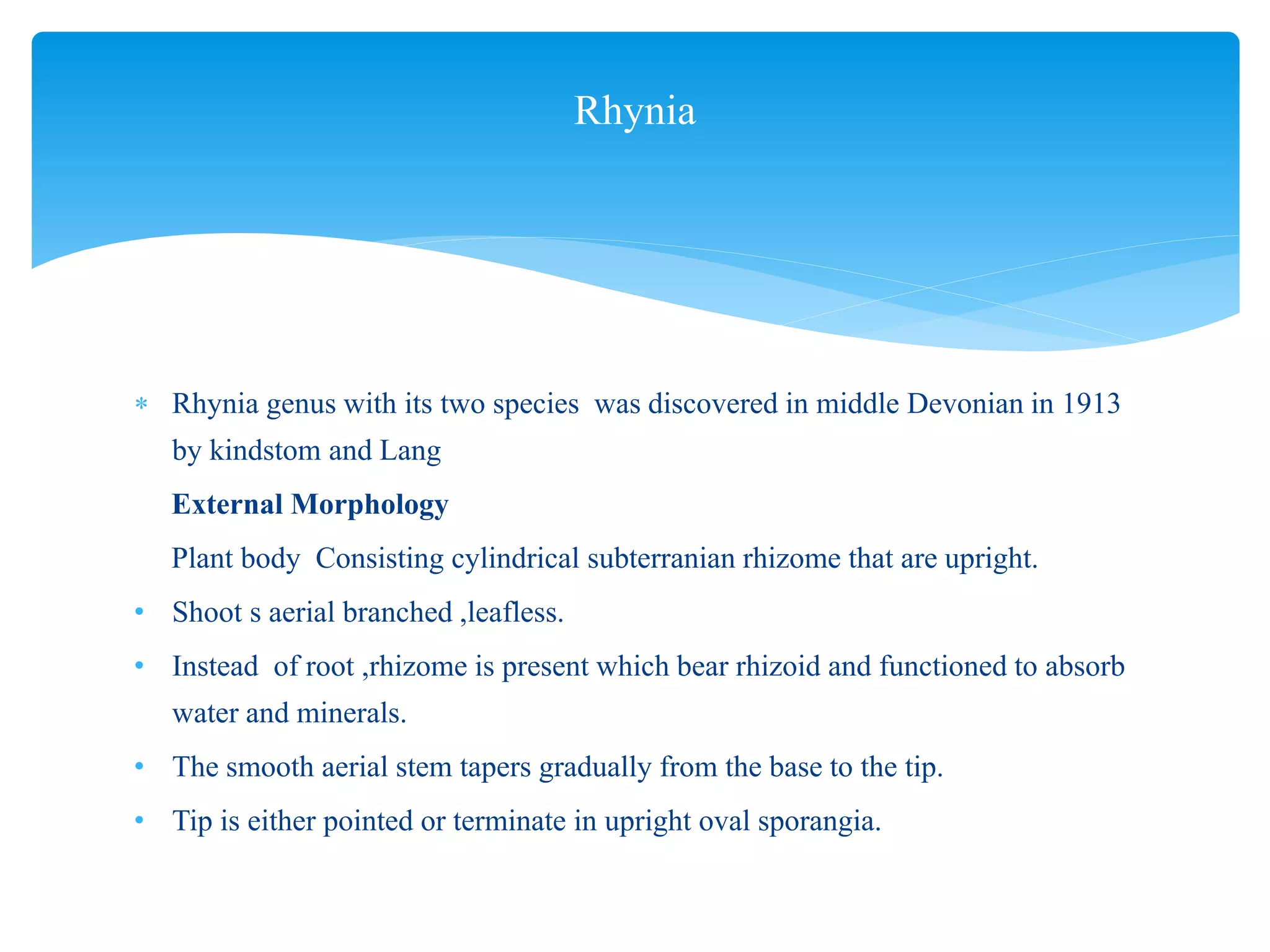 Paleobotany for B.Sc III(Botany-Semester III) As per the syllabus of S.P.P.U. PUNE | PPTX
