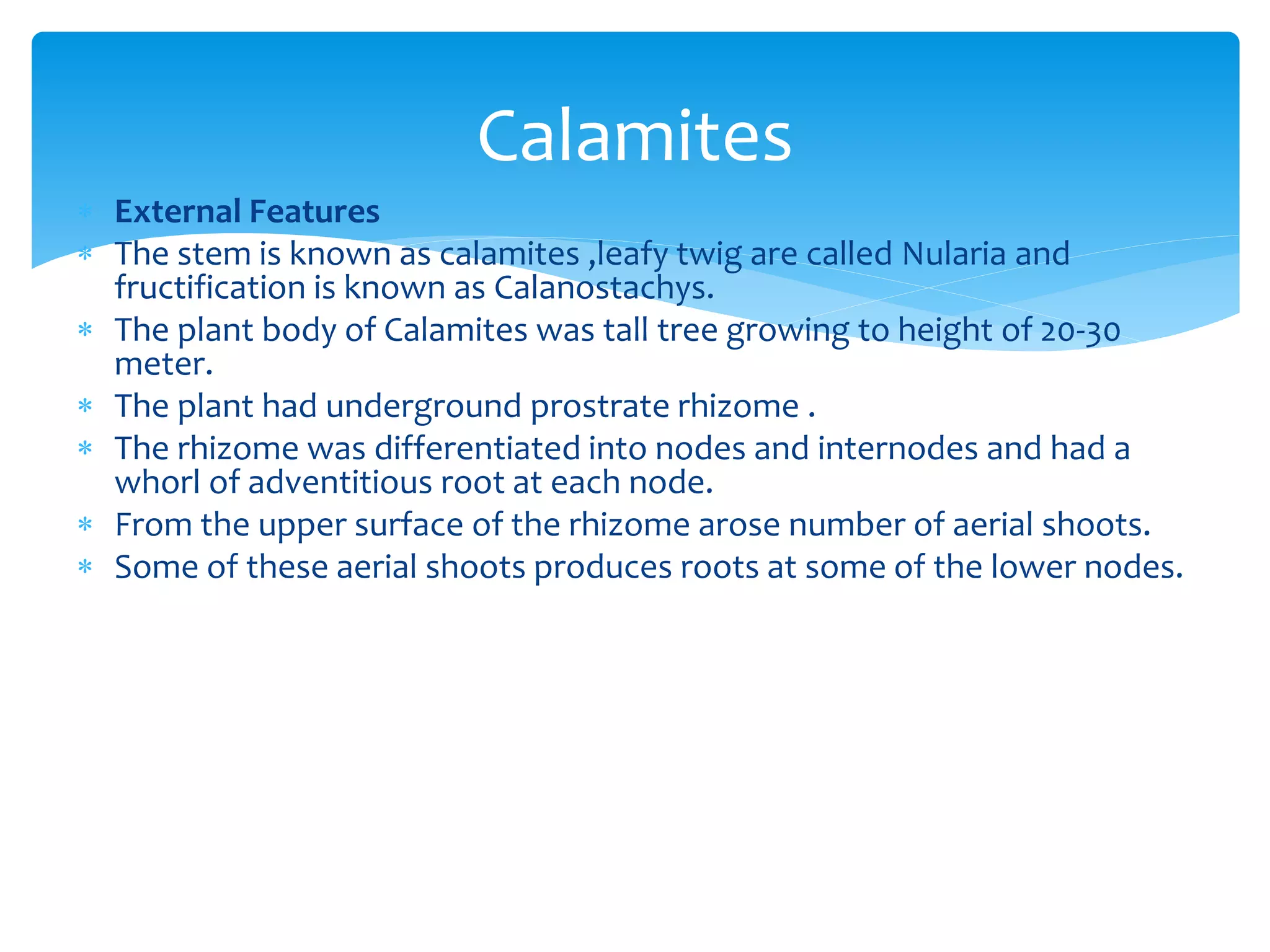 Paleobotany for B.Sc III(Botany-Semester III) As per the syllabus of S ...