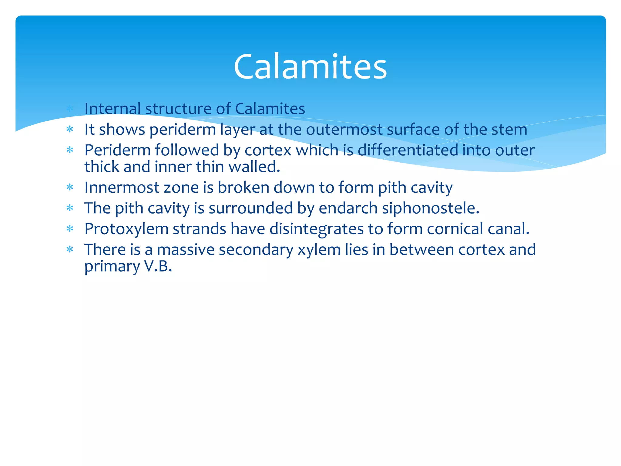 Paleobotany for B.Sc III(Botany-Semester III) As per the syllabus of S ...
