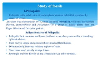 Paleobotany for B.Sc III(Botany-Semester III) As per the syllabus of S ...