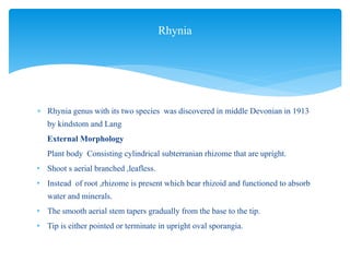 Paleobotany for B.Sc III(Botany-Semester III) As per the syllabus of S ...