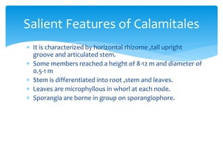 Paleobotany for B.Sc III(Botany-Semester III) As per the syllabus of S ...